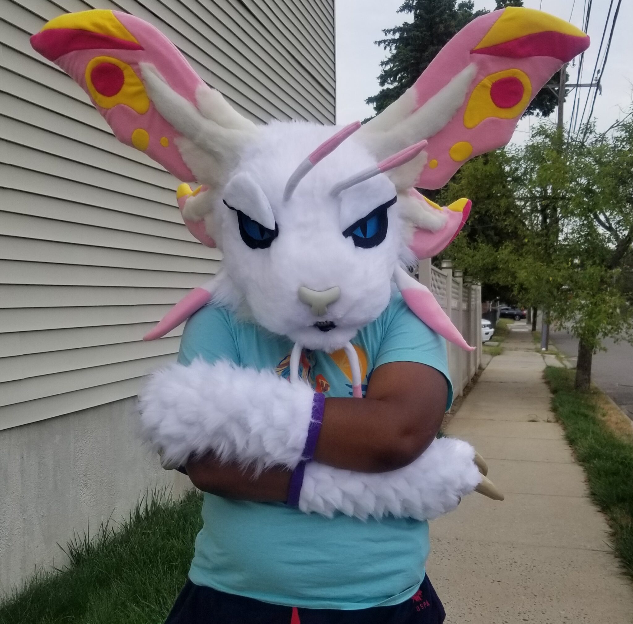 Gallery – Scruff and Tumble Fursuits