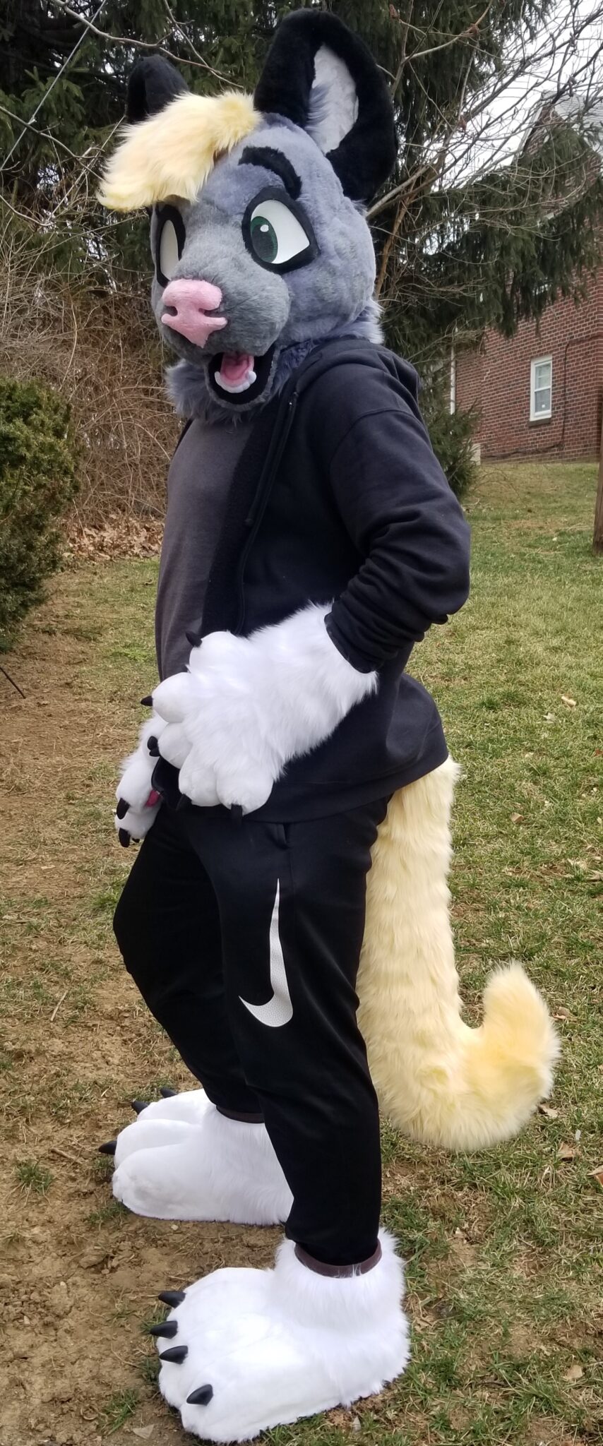 Gallery – Scruff and Tumble Fursuits